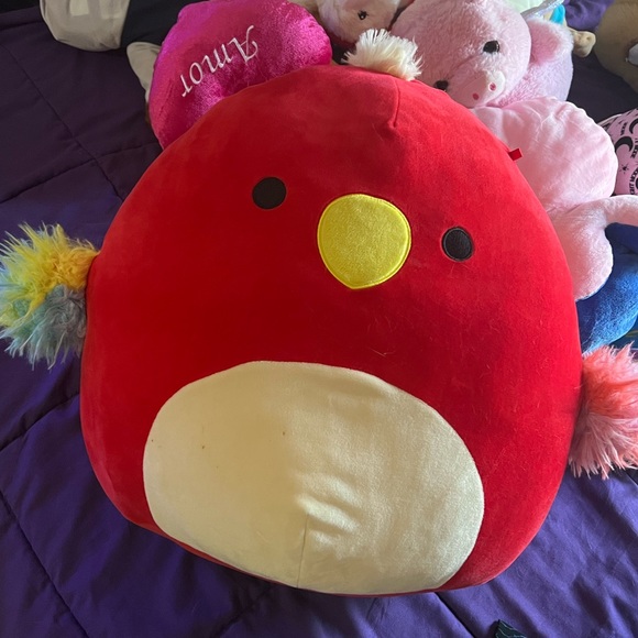 Squishmallows | Other | Squishmallow Parrot Paco | Poshmark